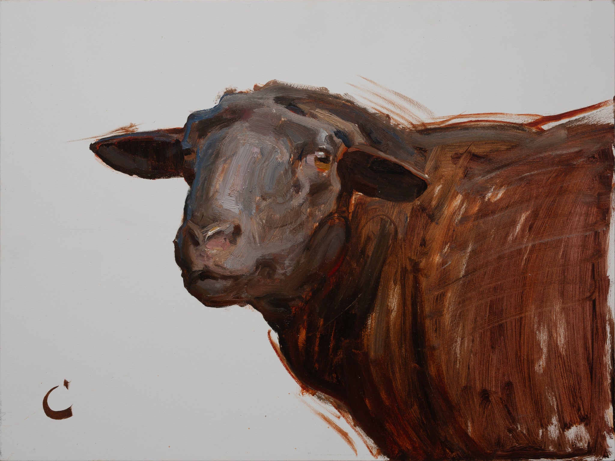 Black Sheep