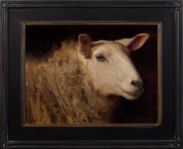 Portrait of a Ewe